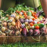 Accueil - Cité Gourmande