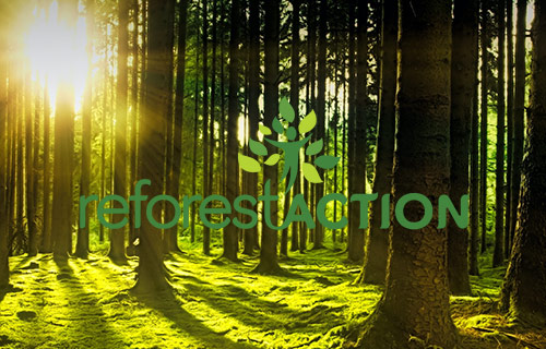 Yummy! commits with Reforest’Action - Cité Gourmande